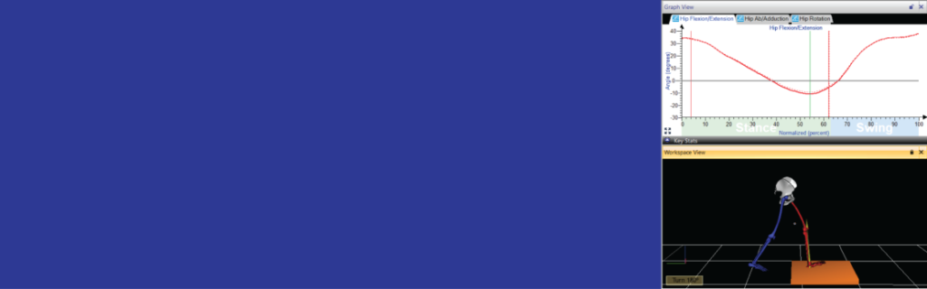 Vicon Introduces the Next Generation of Conventional Gait Model with ...