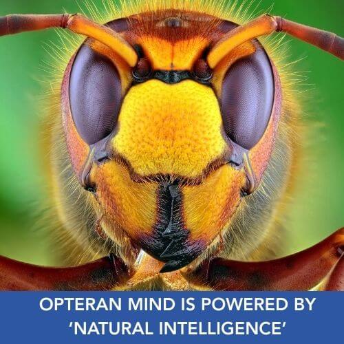 Natural Intelligence in Motion: How Opteran is Redefining Autonomy with ...